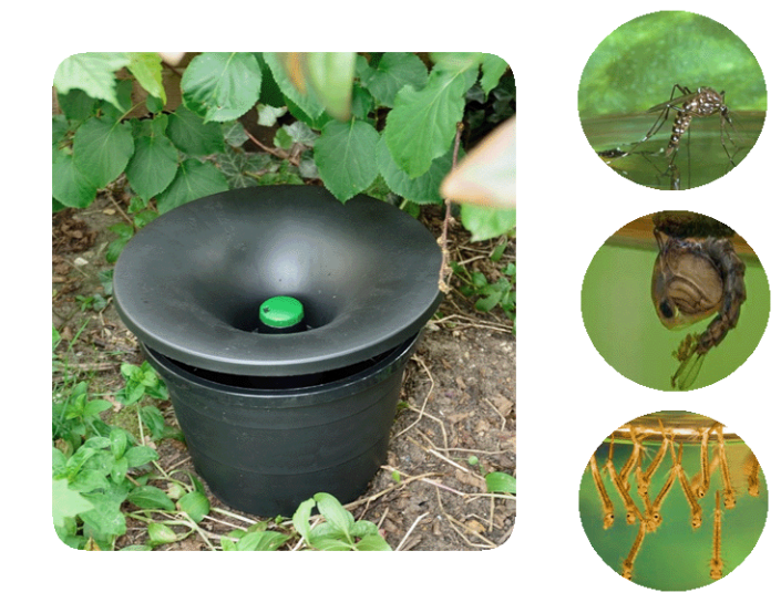 In2Care® Mosquito Station - All Exterminating Georgia